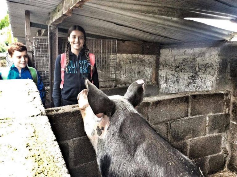 A trip to Causey Farm by Adriana Torres | Learn English in Ireland