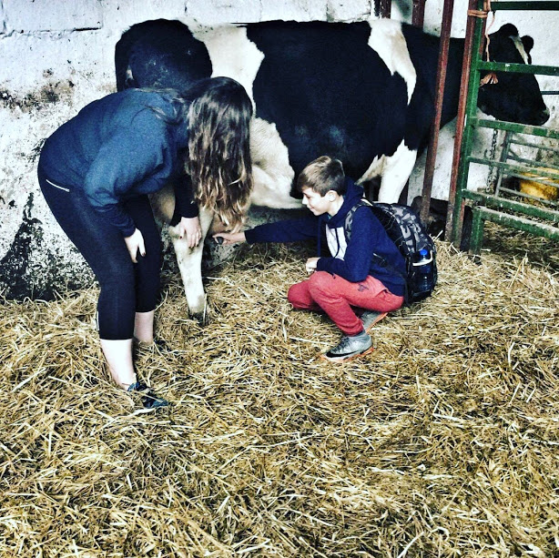 Student Trip to Causey Farm | Learn English in Ireland